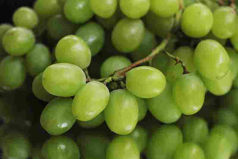 We Like 'Em Big And Juicy: How Our Table Grapes Got So Fat : The Salt : NPR