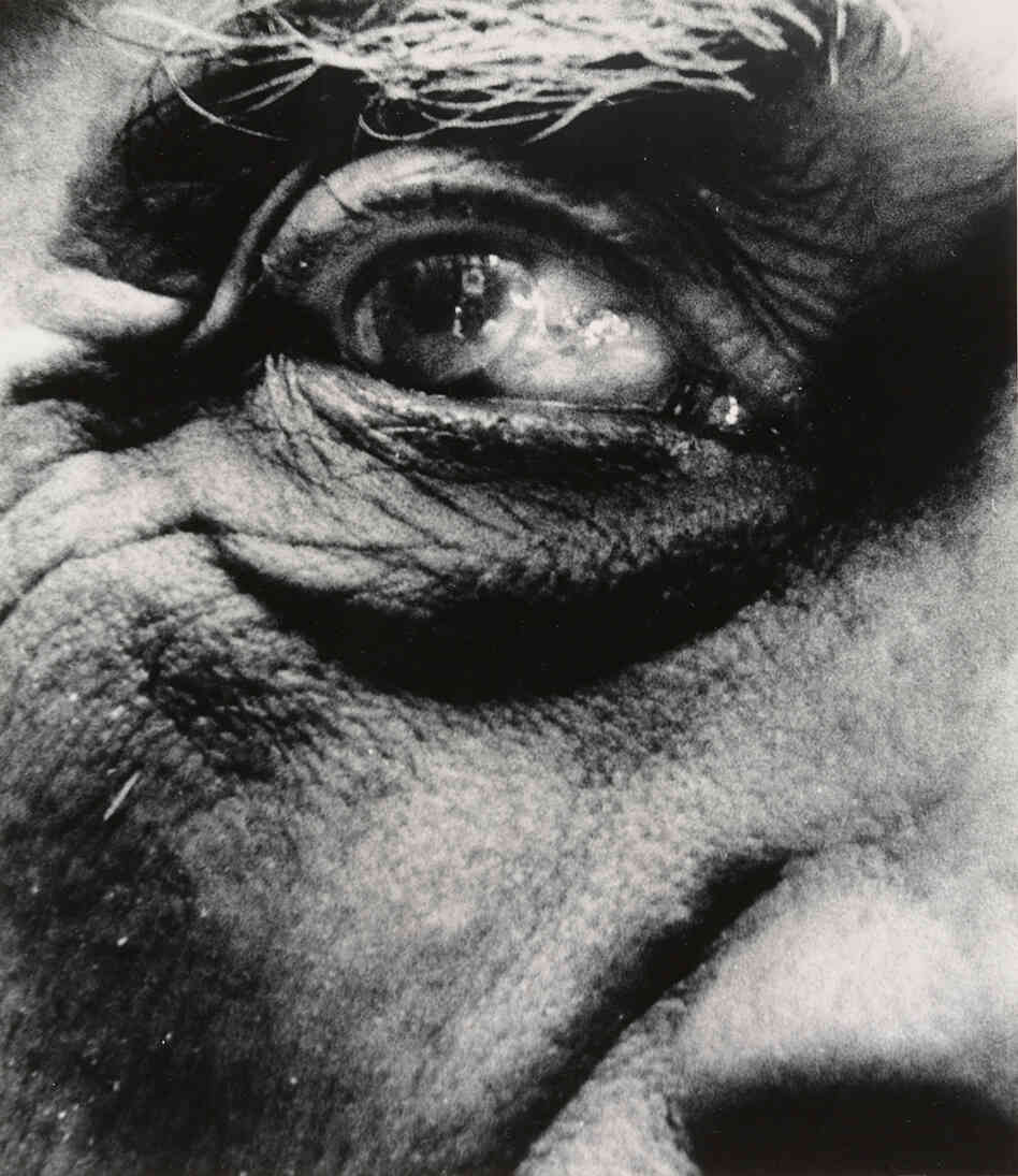 Bill Brandt | Bill brandt, Bill brandt photography, Georges braque