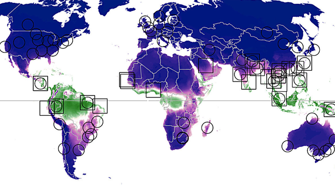 How Weather Sparks The Flu: It's All About The Humidity : Shots ...