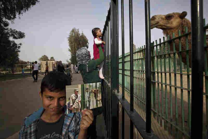 Now And Then: Rephotographing Iraq : The Picture Show : NPR