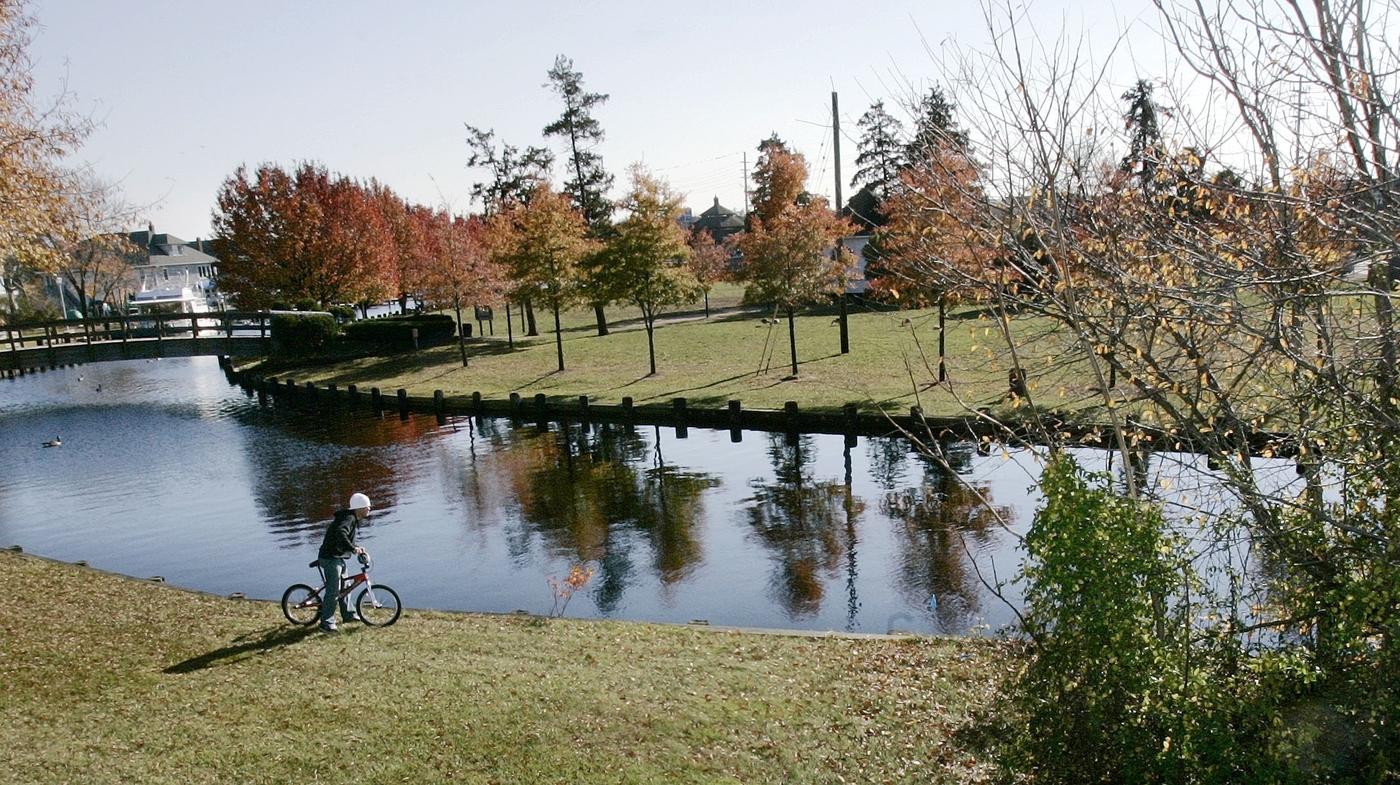 Interview: Dan Fagin, Author Of 'Toms River: A Story Of Science And ...