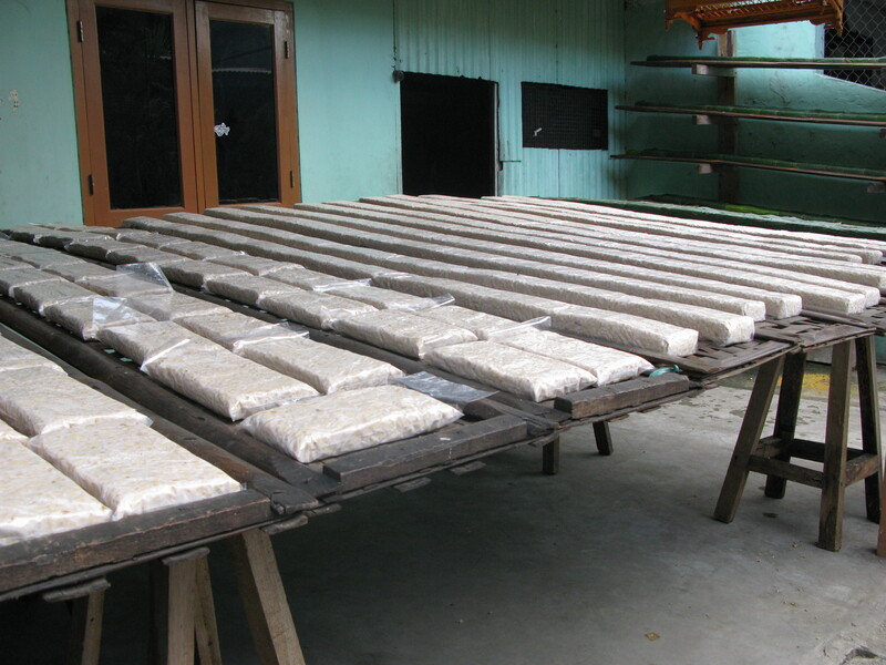 Journey To Java's 'Tempeh Village': Where Soybean Cakes Are Born : The ...