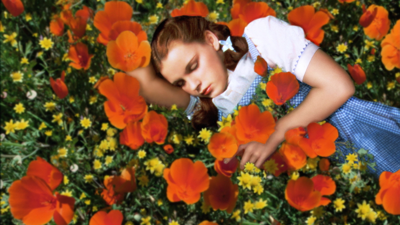Researchers Use Brain Scans To Reveal Hidden Dreamscape : Shots ...
