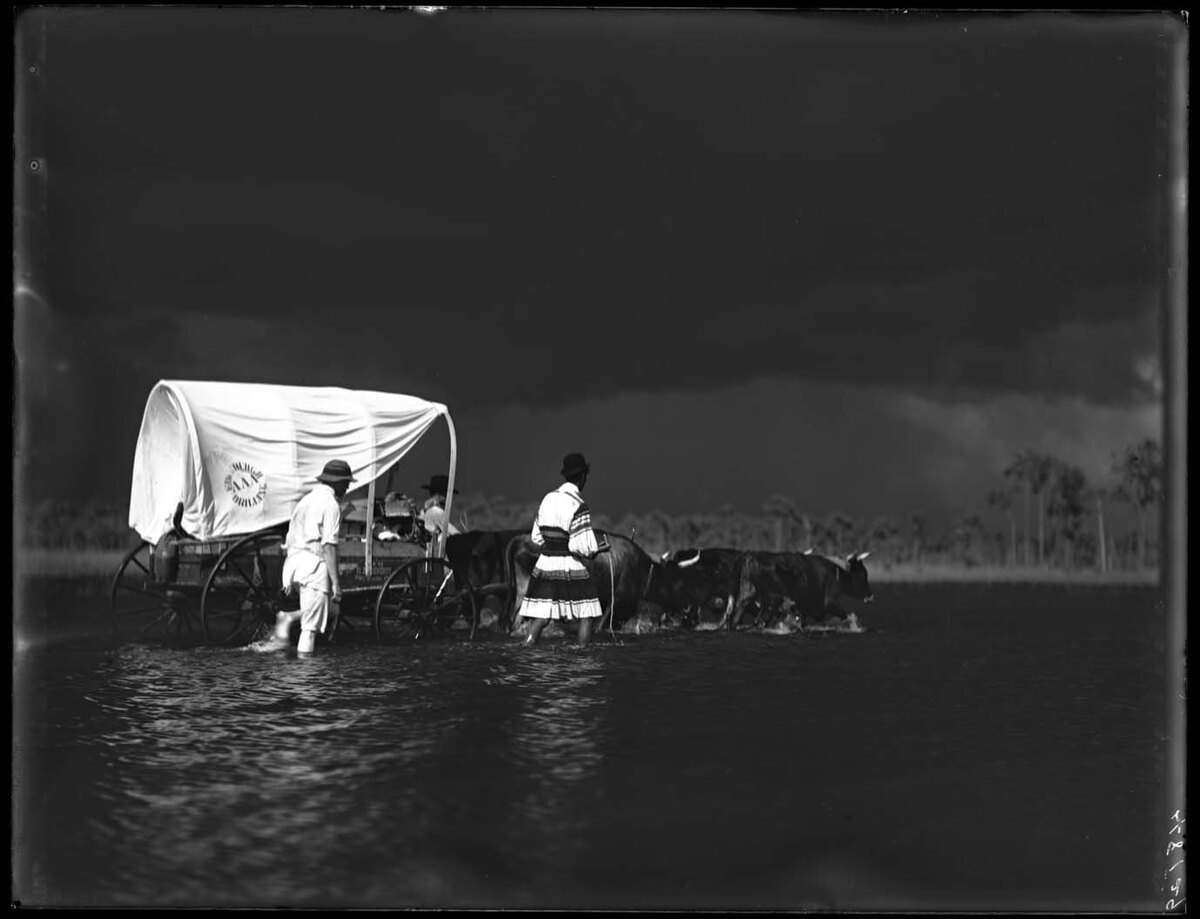 Meeting Florida's Seminoles Through Rediscovered Photos : The Picture ...