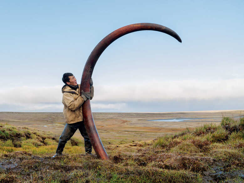 Big Data, Mammoths Under Melting Ice Caps, And A Nick Drake Tribute : NPR