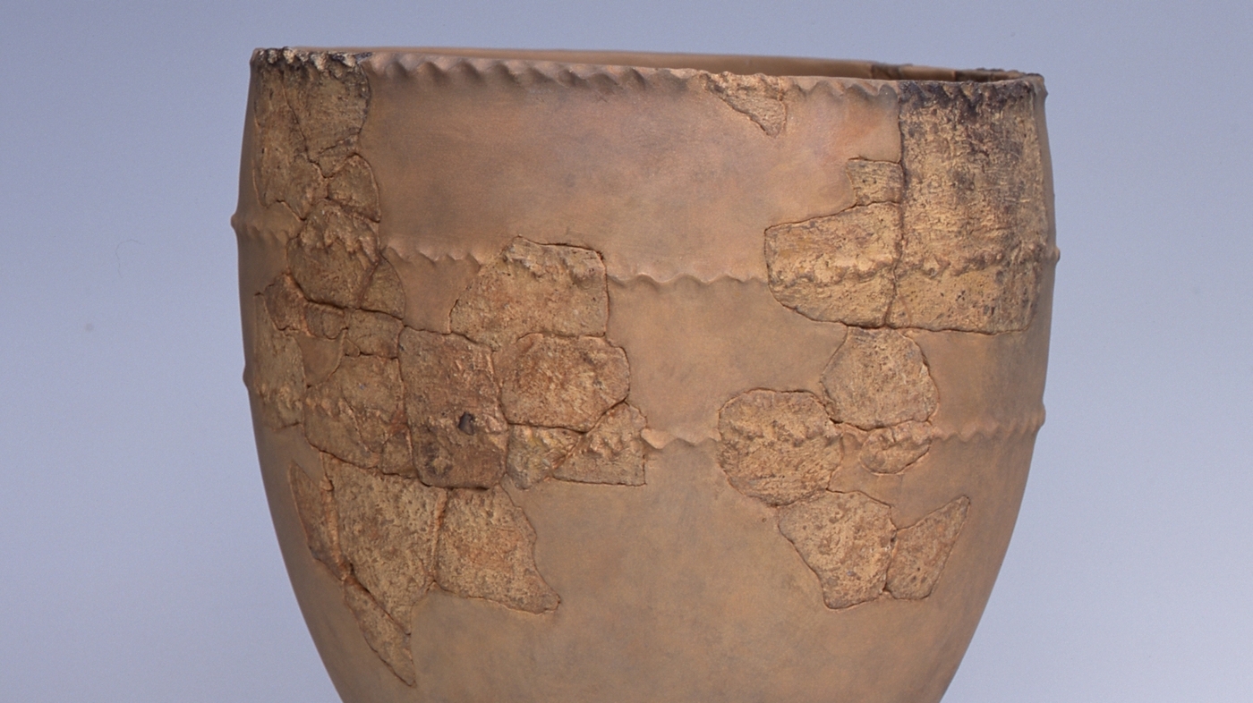 What 15,000 Years Of Cooking Fish Tells Us About Humanity : 13.7 ...