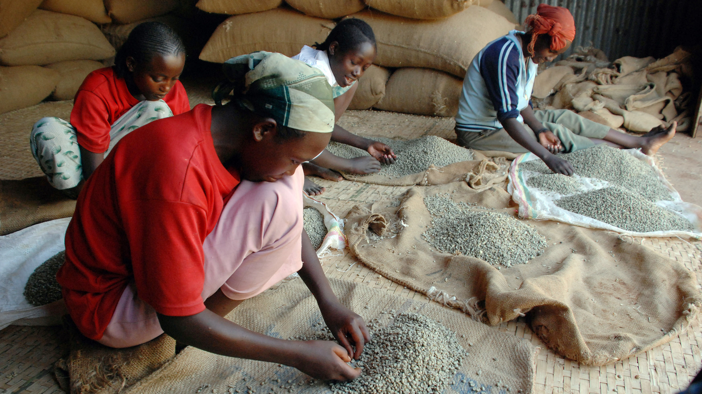 How Coffee Brings The World Together : The Salt : NPR