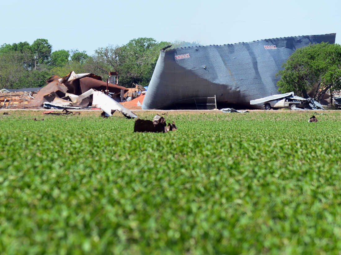 More Bodies Identified In Texas Fertilizer Plant Explosion : The Two ...