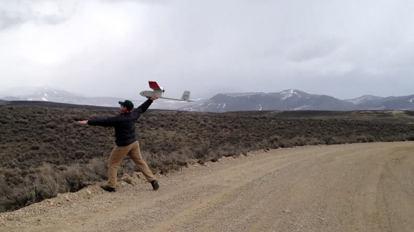 From Battle To Birds: Drones Get Second Life Counting Critters : NPR