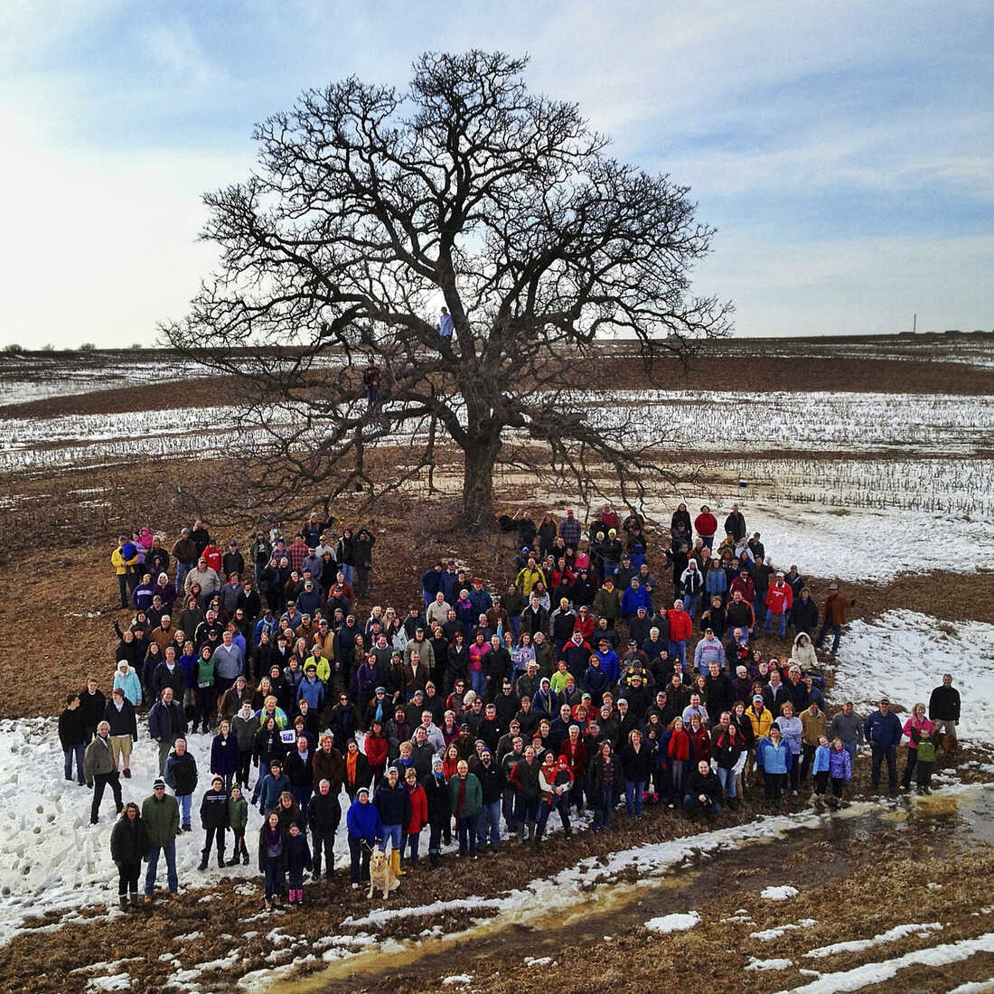 A Photographer And His Friend, 'That Tree' : The Picture Show : NPR