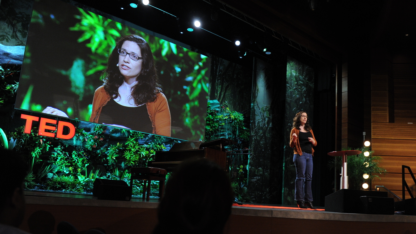 Annie Murphy Paul: When Does Learning Begin? : NPR