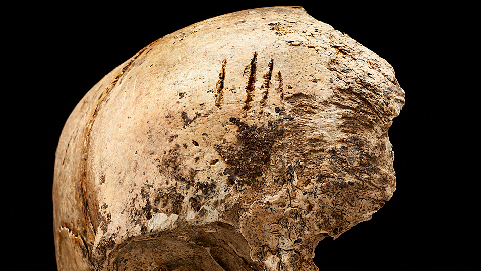 Bones Tell Tale Of Desperation Among The Starving At Jamestown : The ...