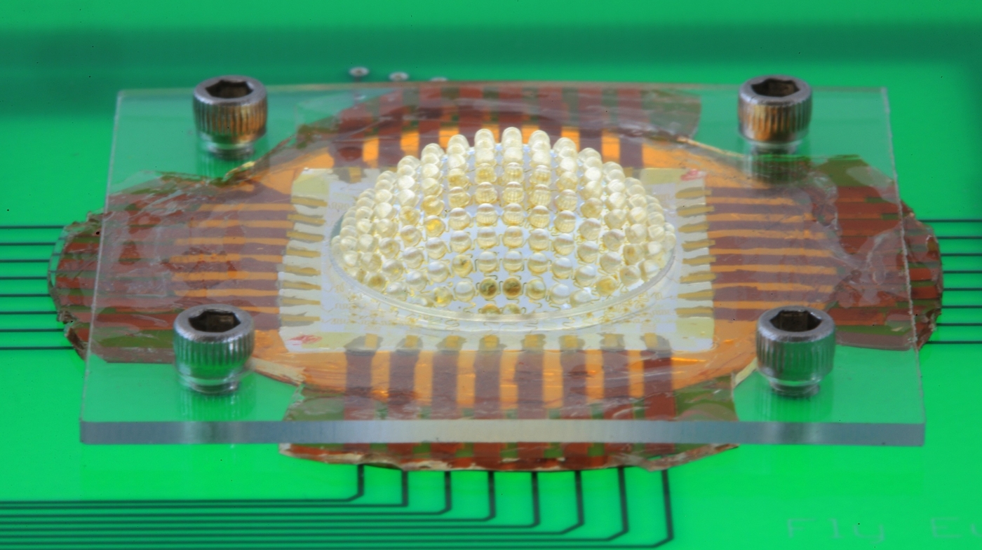 Of Flybots And Bug Eyes: Insects Inspire Inventors : NPR