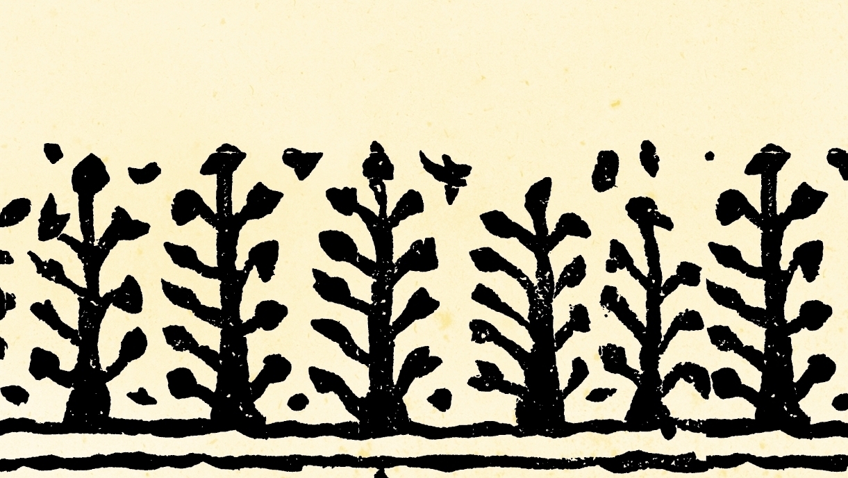 Interview: Bill Cheng, Author Of 'Southern Cross The Dog' : NPR