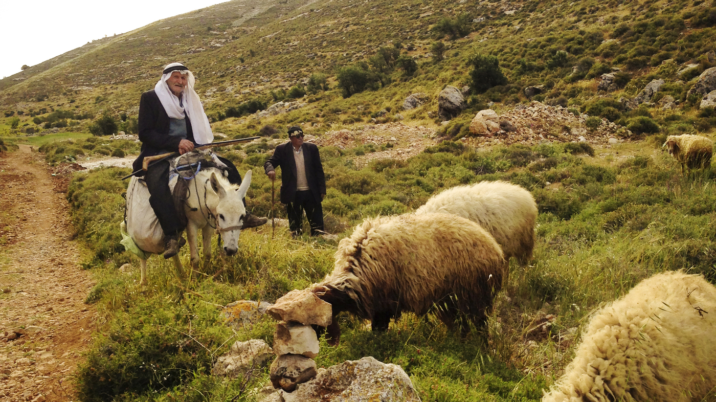 U.S. Tourists Become Israeli Commandos For A Day : Parallels : NPR