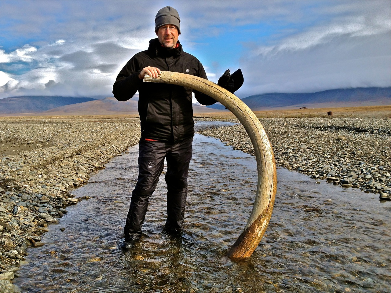 A Picture Postcard From Wild Wrangel Island | NCPR News