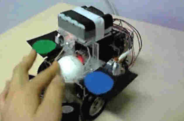 Moths That Drive Cars (Really) : Krulwich Wonders... : NPR