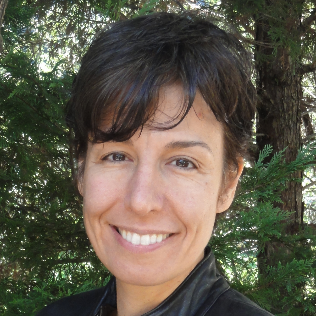 Marked By Darkness: A War Novel That Sheds Light On Past Hurt | NCPR News