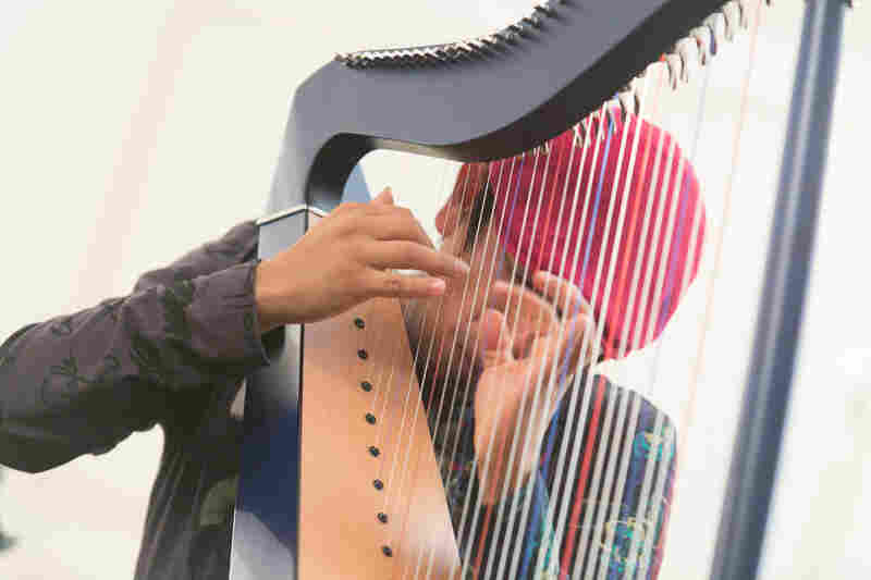 Edmar Castañeda And Friends On JazzSet : NPR