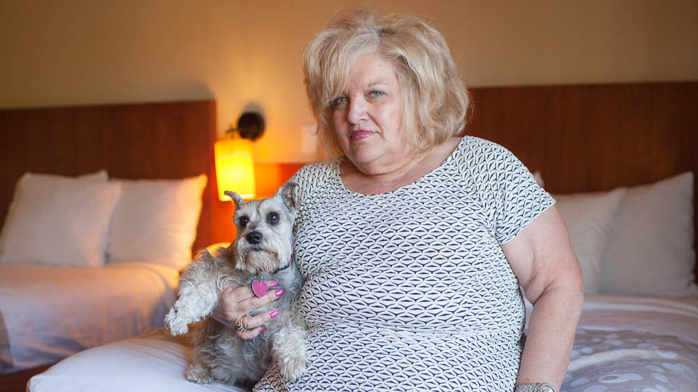 Moore Finds Comfort In Animals Who Survived The Storm : The Two-Way : NPR