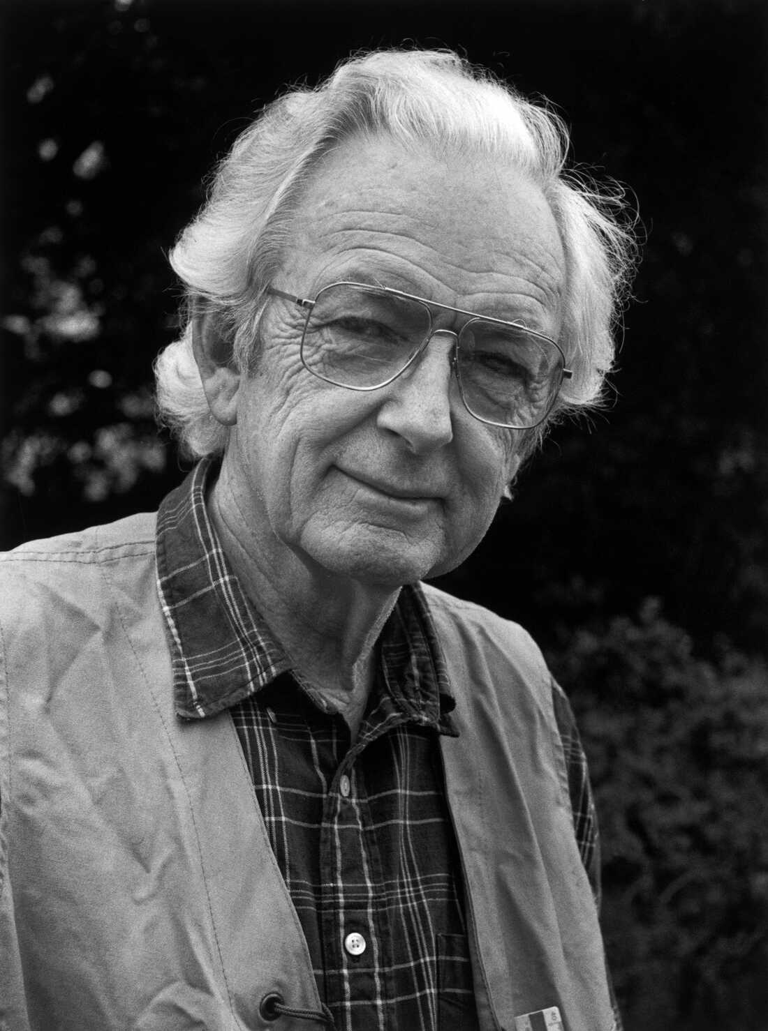 Wayne Miller, Photographer Who Captured Black Chicago, Dies : The ...