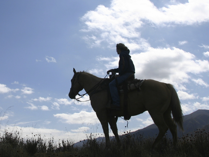 For A Girl And Her Horses, A Bumpy Ride To Adulthood | WBUR