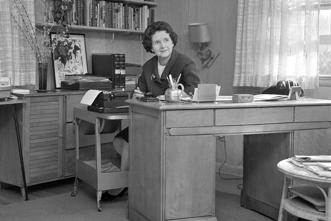 What Did Rachel Carson Hear? The Mystery Of The 'Fairy Bell Ringer ...