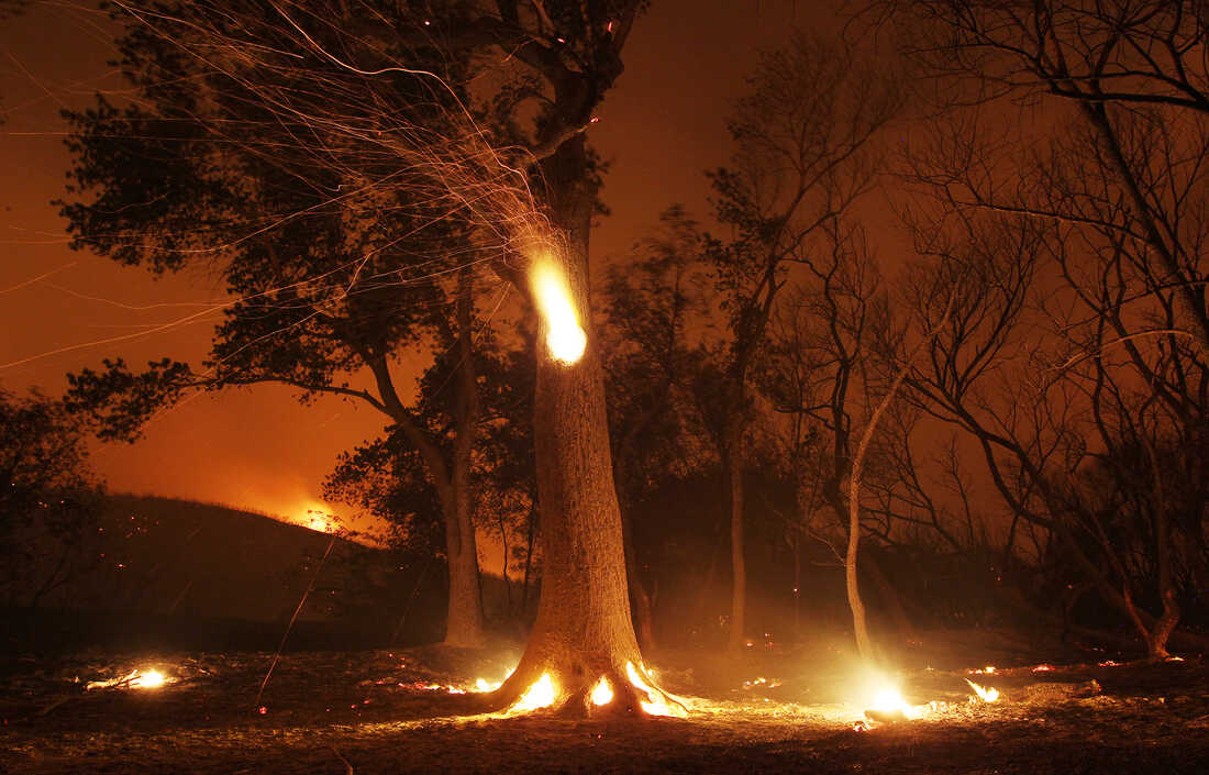 Wildfire North Of Los Angeles Is 40 Percent Contained Monday : The Two ...