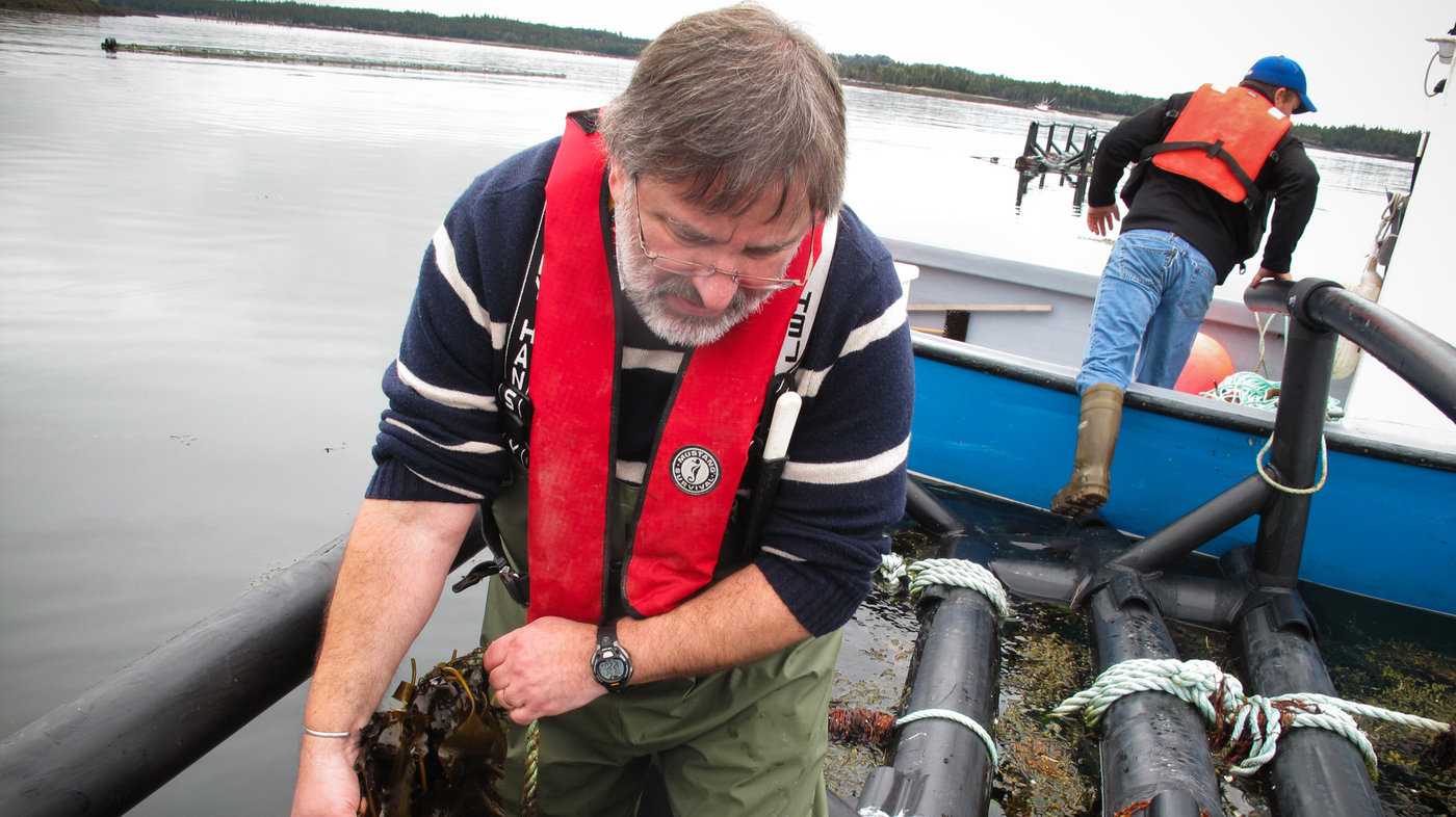 How To Clean Up Fish Farms And Raise More Seafood At The Same Time ...