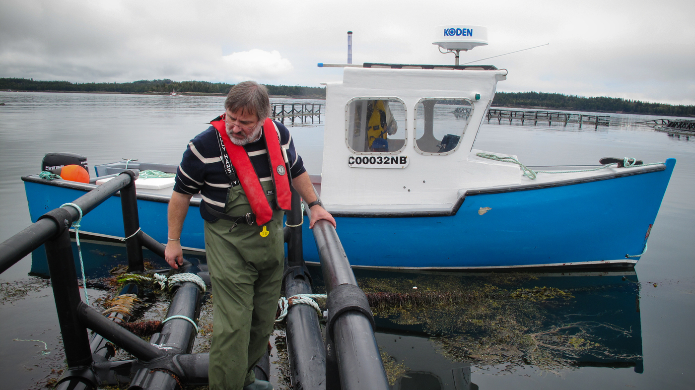 How To Clean Up Fish Farms And Raise More Seafood At The Same Time ...