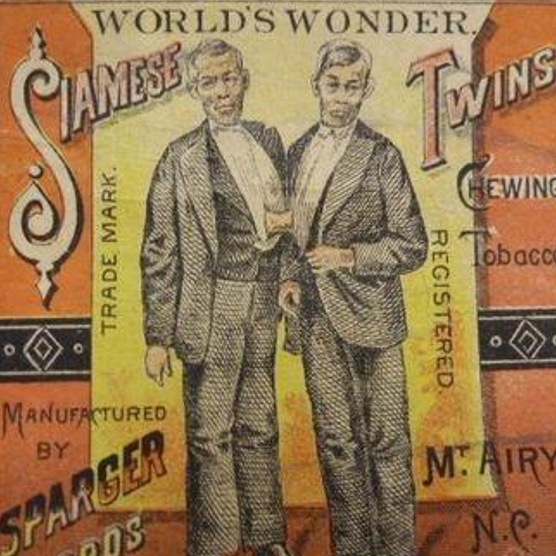 'Siamese Twins' Still Fascinate, Two Centuries Later : NPR