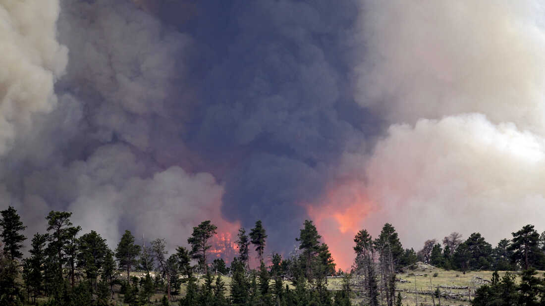 A Year Later, Few Residents Have Rebuilt After Colorado Fire : NPR