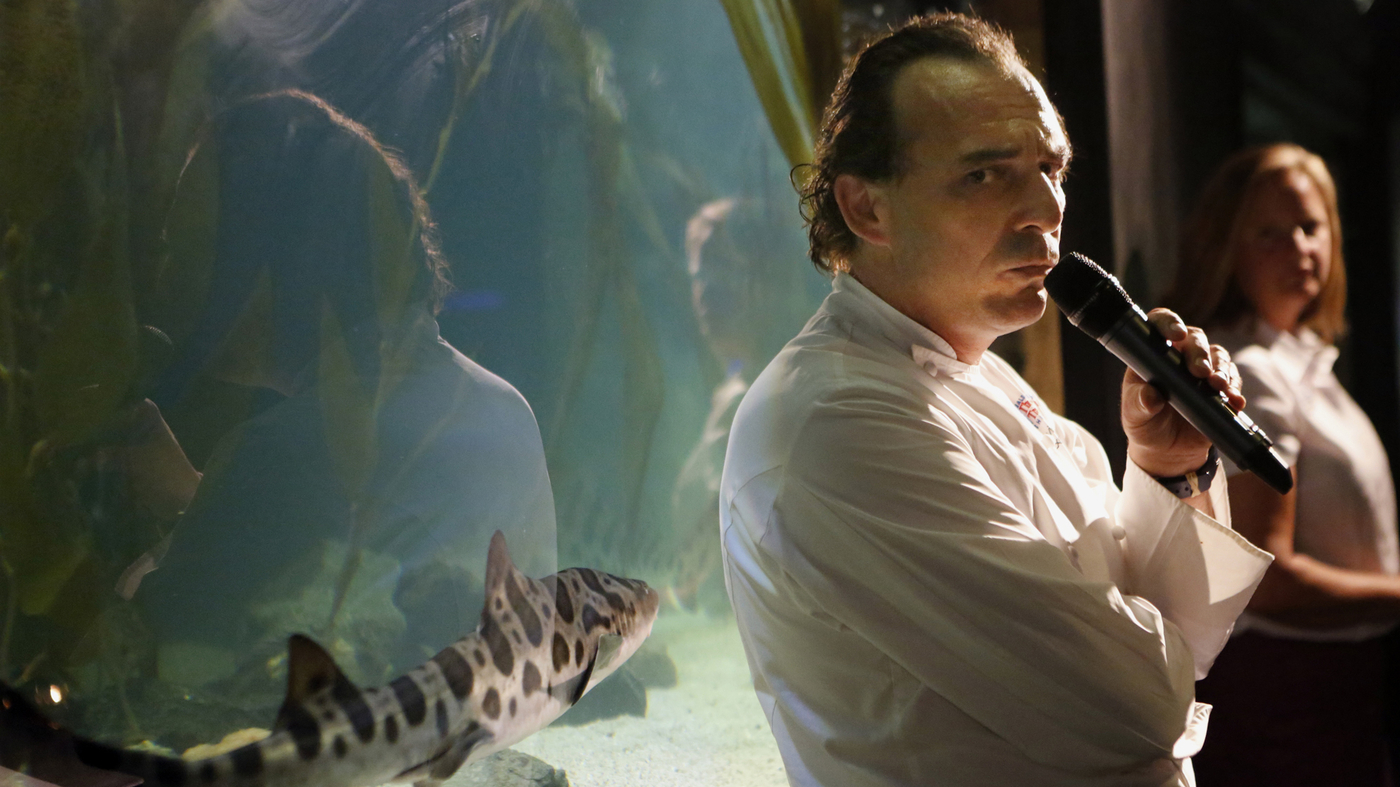 How Well Do You Know Your Fish Fillet? Even Chefs Can Be Fooled : The ...