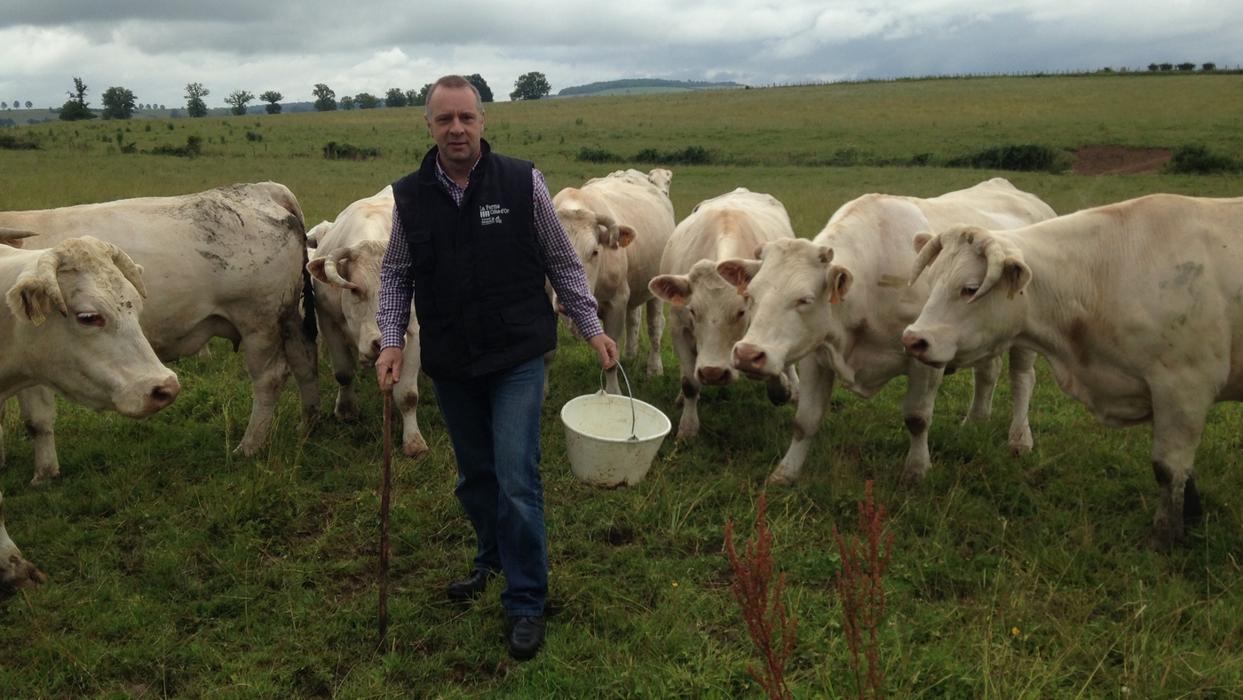 EU-U.S. Trade: A Tale Of Two Farms : Parallels : NPR