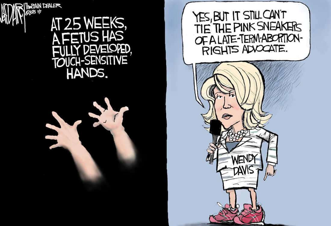 Double Take 'Toons: Texas Abortion Showdown : NPR