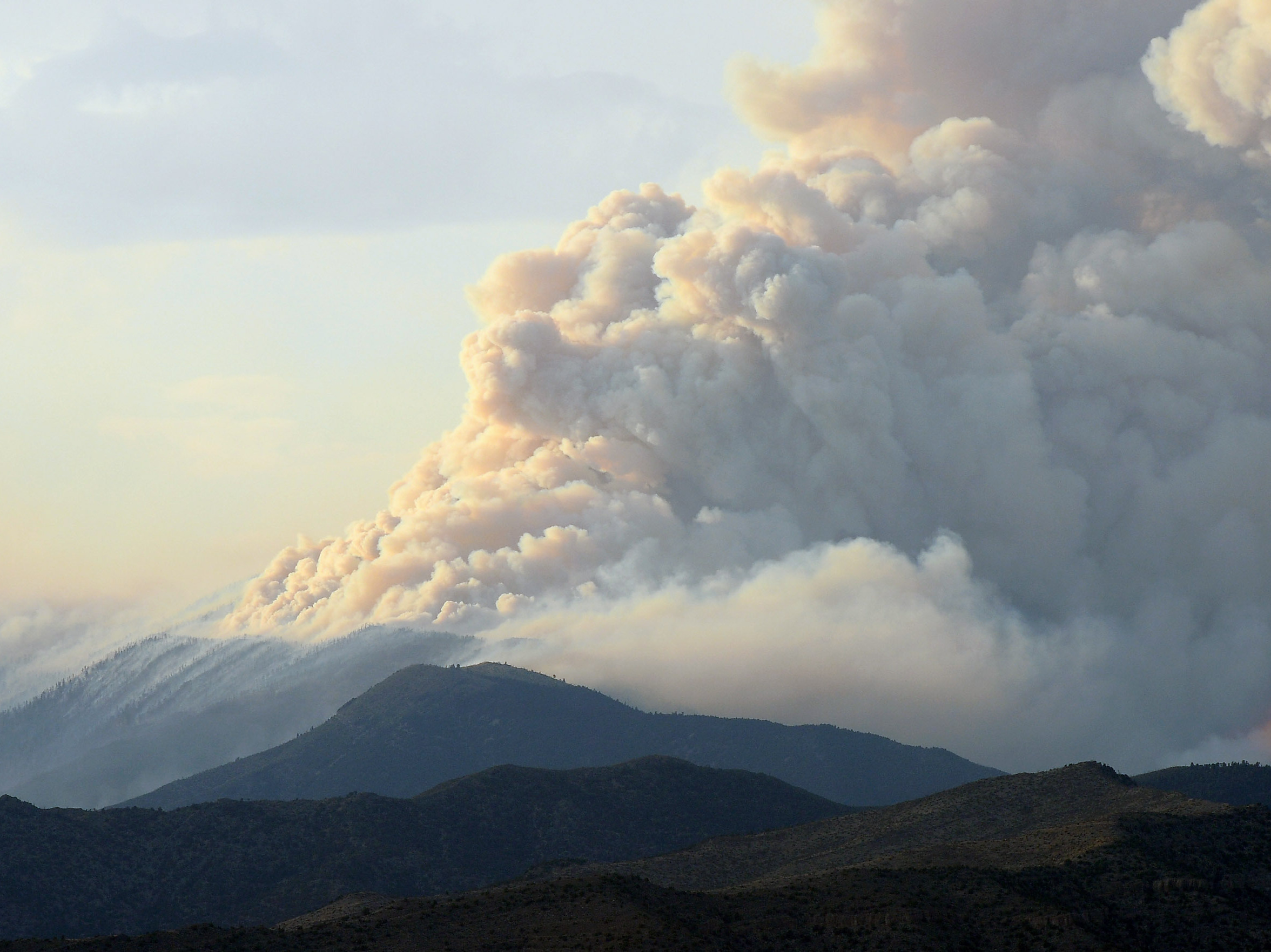 Nevada Wildfire Could Snuff Out A Rare Butterfly | NCPR News