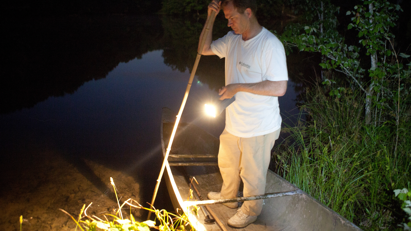 The Old Gig: Catching Frogs On Warm Summer Nights : NPR