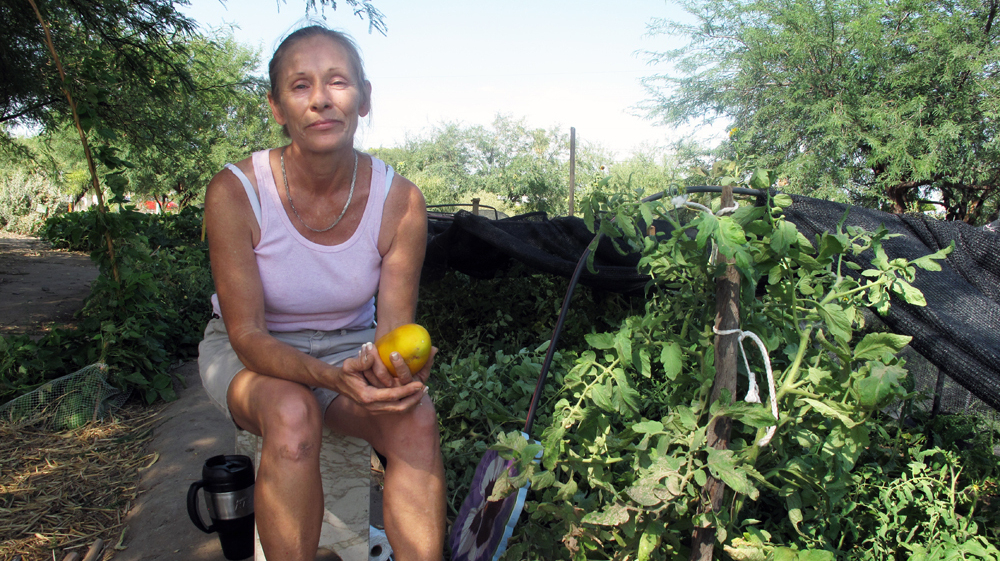 Tucson Food Bank Helps The Needy Grow Their Own Food : The Salt : NPR