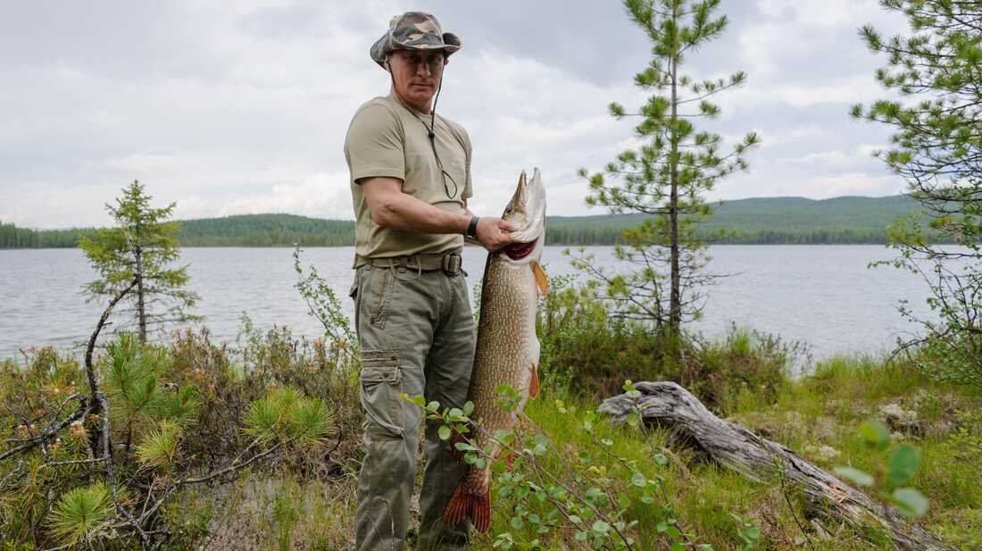 Putin's Latest Feat Of Derring-Do? Bagging A Really Big Fish ...