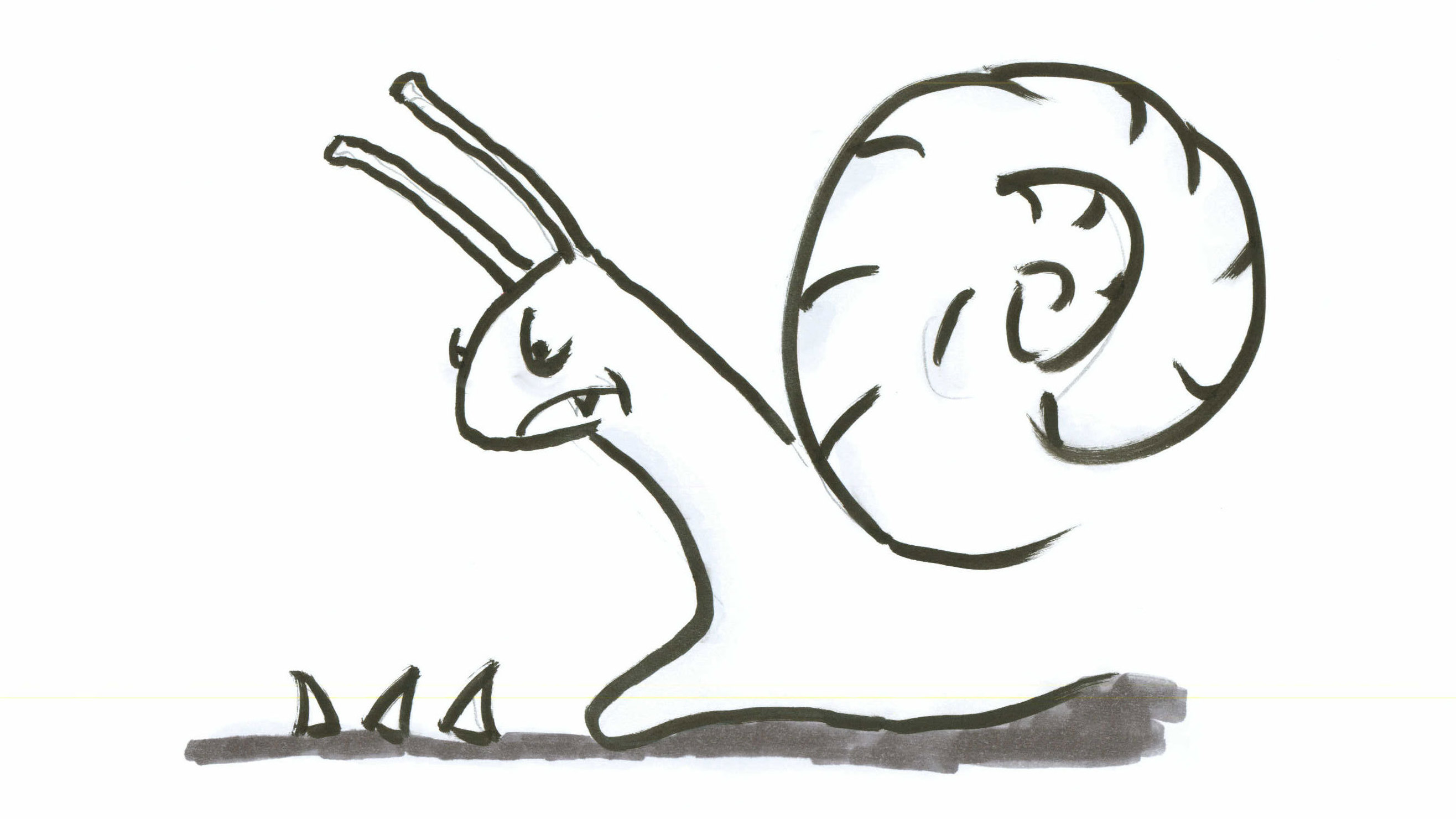 Why Dentists Should Fear Snails : Krulwich Wonders... : NPR