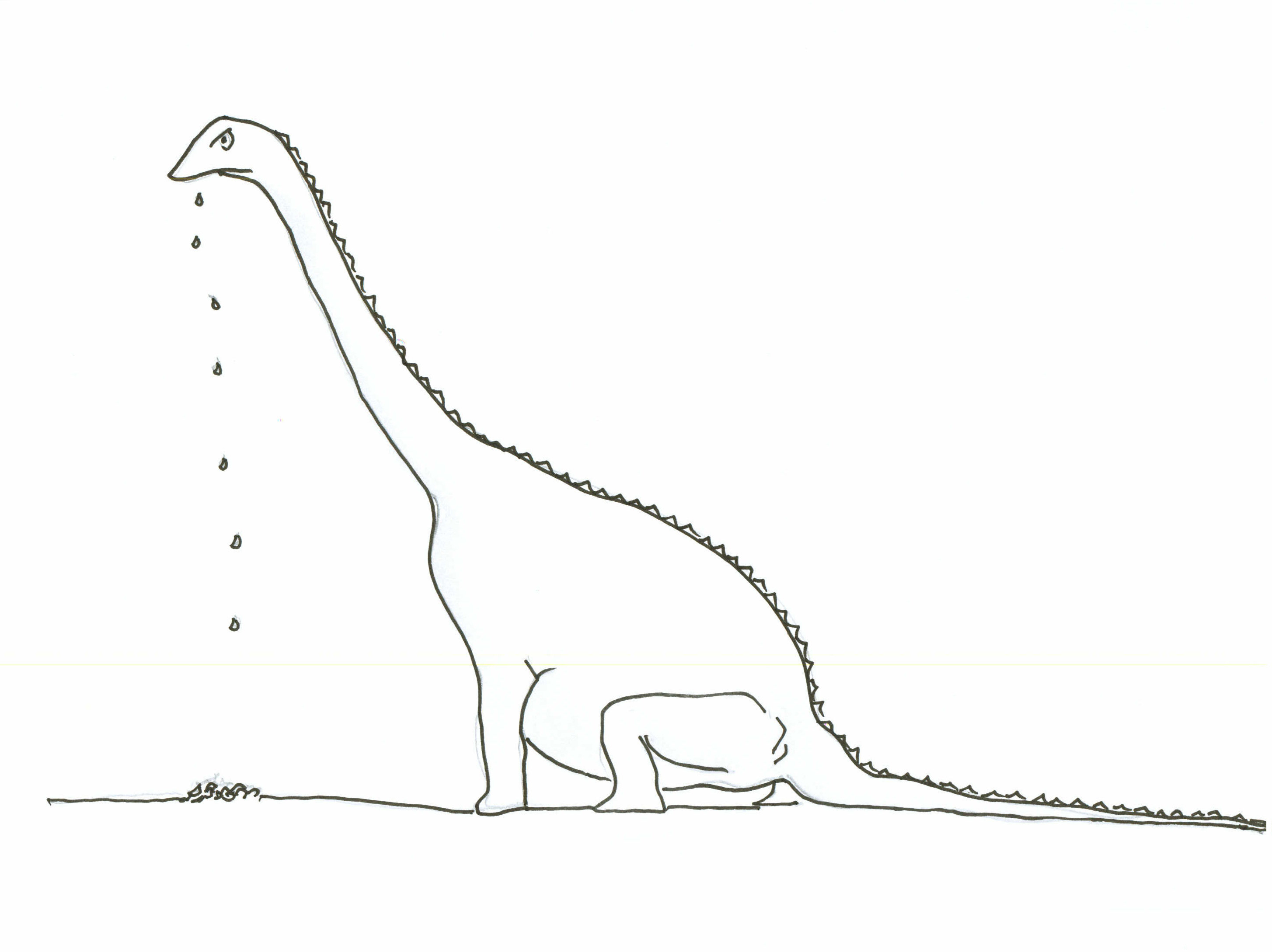 Why Dentists Should Fear Snails | NCPR News