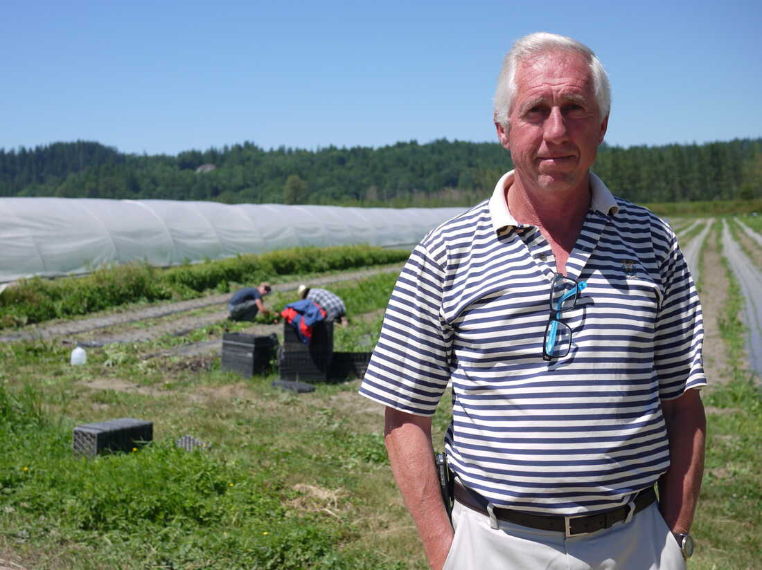 After Immigration Bust, Herb Grower Tries A New Path : The Salt : NPR