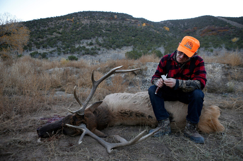 Capturing The Complexities Of The Colorado River : The Picture Show : NPR