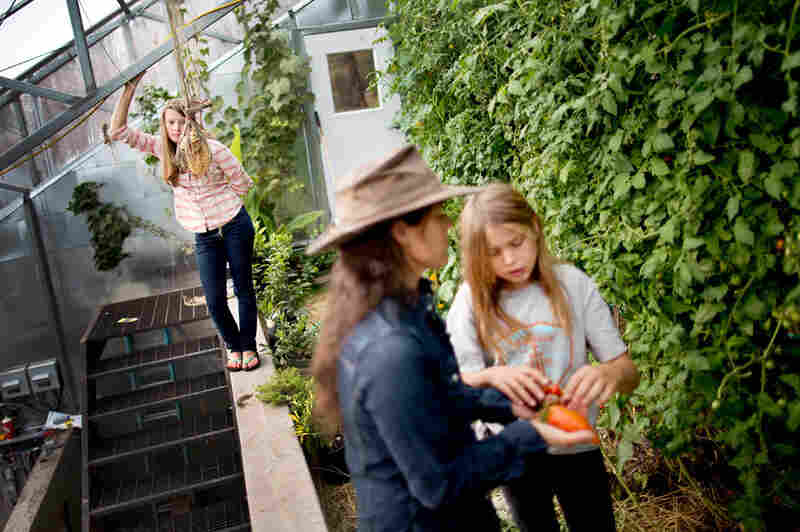 Capturing The Complexities Of The Colorado River : The Picture Show : NPR