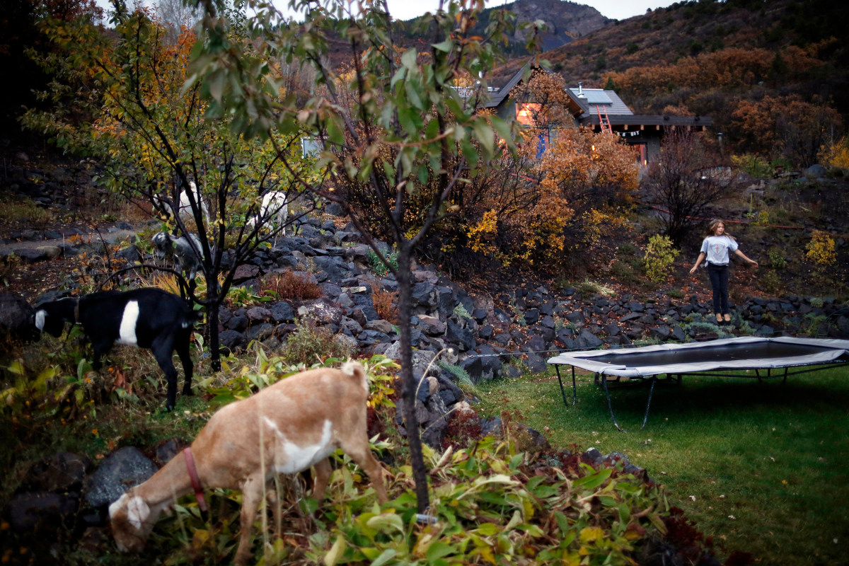 Capturing The Complexities Of The Colorado River | NCPR News