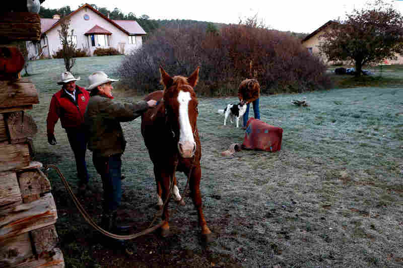 Capturing The Complexities Of The Colorado River : The Picture Show : NPR