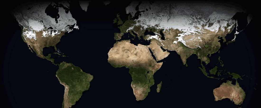 This Pulsing Earth : Krulwich Wonders... : NPR