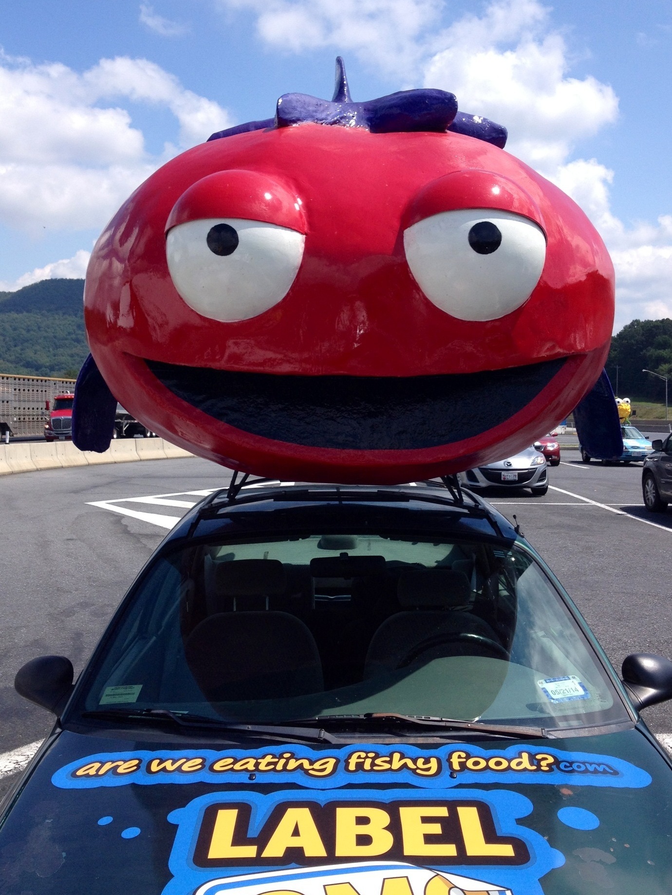 News Letter: Swimming With 'The Fishy Fleet' : The Protojournalist : NPR