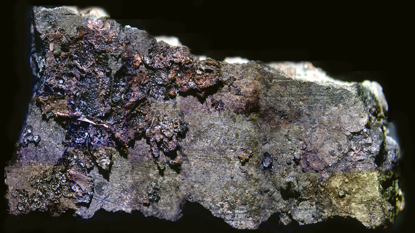Stone Age Chefs Spiced Up Food Even 6,000 Years Ago : The Salt : NPR