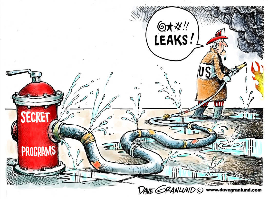 Double Take 'Toons: Manning Gets 35 Years : NPR